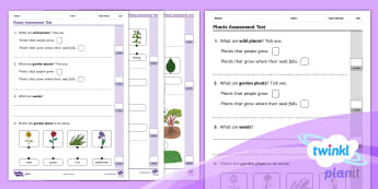 Science Assessment | KS1 | Primary Resources | Twinkl