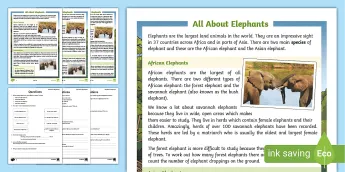 Differentiated Questions | twinkl.com.au