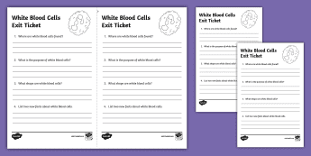White Blood Cells | twinkl.com