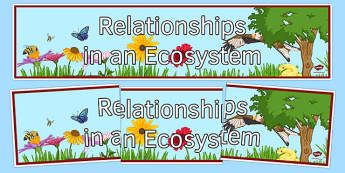 Ecosystems and Interdependence | KS3 Biology | Beyond
