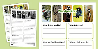 Animals Fact File Template • Twinkl.ca