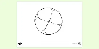 Cell Flow Chart | Twinkl