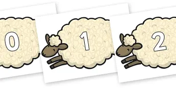 Sheep Flashcards | twinkl.co.uk