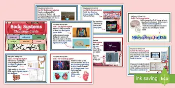 Body Systems Biology | twinkl.co.uk