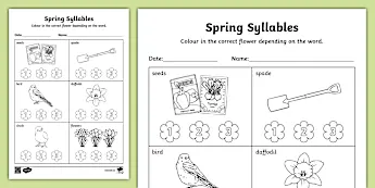 Spring Syllables | twinkl.com.au