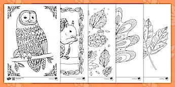 Autumn Mindfulness Activities | twinkl.com.au