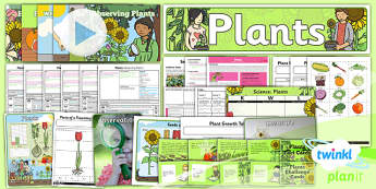 Plants - Year 2 Science Resources