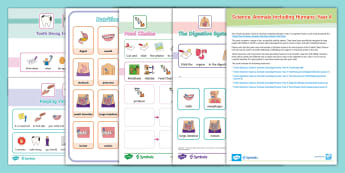 Animals including Humans - Year 4 Science Resources - Twinkl