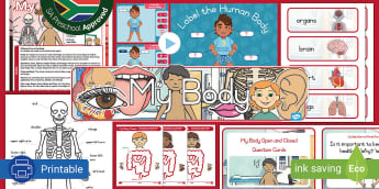 My Body Activities For Grade R - Twinkl South Africa