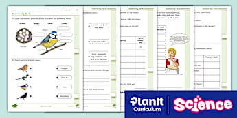 Biodiversity - Birds Year Three - 3 - Science Lesson Plans for Primary ...
