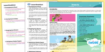 Insect Art Projects | twinkl.co.uk