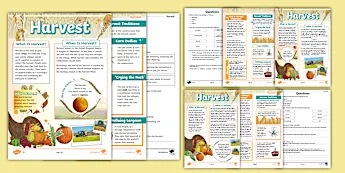 Harvest Reading Comprehensions | twinkl.com.au