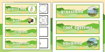 Grassland Ecosystem Projects | twinkl.com