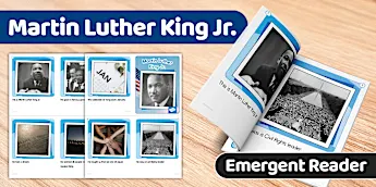 Beginner Readers | twinkl.com