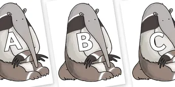Anteater Art Activities | twinkl.co.uk