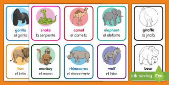 Spanish Zoo Animals | twinkl.com