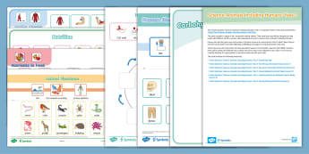 Animals including Humans - Year 3 Science Resources - Twinkl