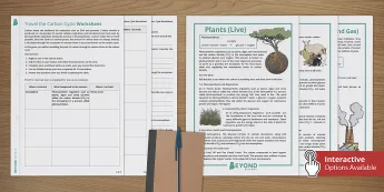Carbon Cycle Resources | twinkl.com.au