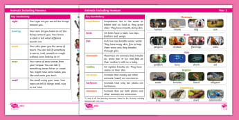 Animals, Including Humans | KS1 Primary Resources - Twinkl