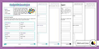 Fourth Grade Science Projects | twinkl.com