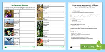 Endangered Species Worksheets for KS2 Students | Twinkl