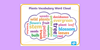 Plant Biology Resources | twinkl.co.uk