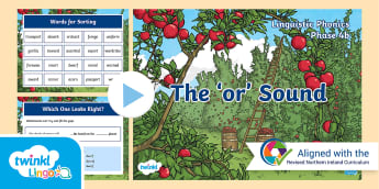 'or' sound Phase 4b - Stage 5/6 Phonics - Linguistic Phonics - Resources