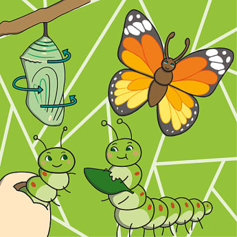 Early Years Themes And Topics | EYFS Teaching Resources