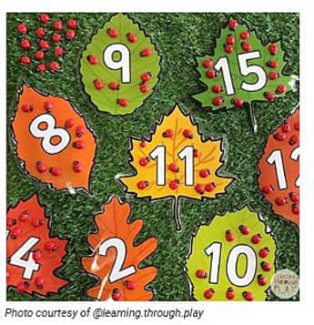 Seasons Activities for Children - Twinkl