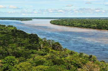 15 Amazing Amazon Rainforest Facts for Children | Twinkl