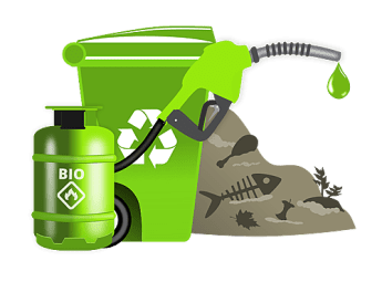 Interesting Biomass Energy Facts for Children | Twinkl Blog