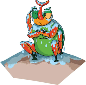 Arriving from Twinkl Book Club: Bug's Big Trip - Twinkl