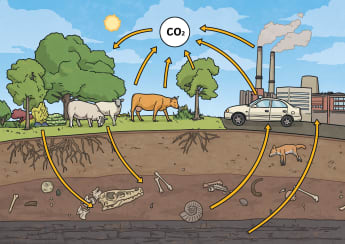 1 Curriculum, 6 Units, Teaching Sustainability Has Never Been So Easy