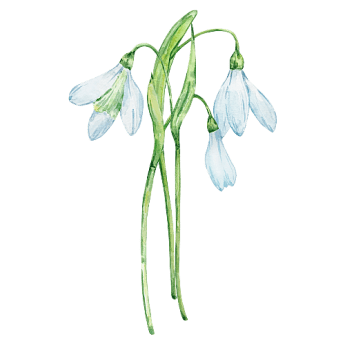 Primăvara | 1 martie | Eveniment Twinkl România - Twinkl