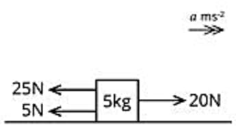 👉 Newton's Second Law Activity: Matching Mat | Beyond