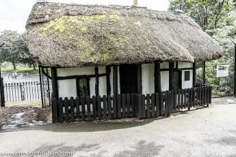 9 Interesting Dublin Zoo Facts | Twinkl Blog Ireland