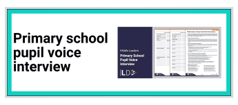 ‘My Voice Matters’: Incorporating pupil voice as a teaching assistant