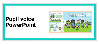 ‘My Voice Matters’: Incorporating pupil voice as a teaching assistant