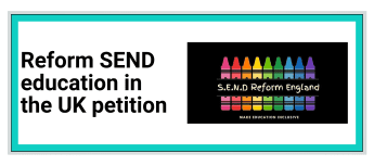 The parents behind the SEND reform revolution: ‘TAs are just as vital ...