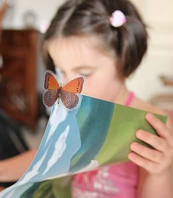 The power of wordless picture books - Twinkl