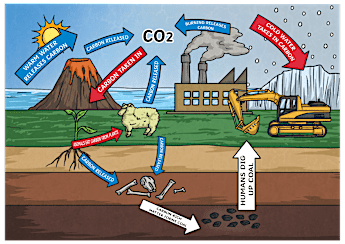 1 Curriculum, 6 Units, Teaching Sustainability Has Never Been So Easy