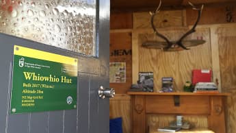 Whio Bird Facts: Whio Awareness Month 2024 - Twinkl