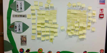 Plants - Twinkl Classroom Display Photos