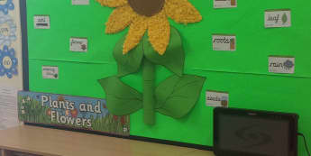 Science and Investigation - Twinkl Classroom Display Photos