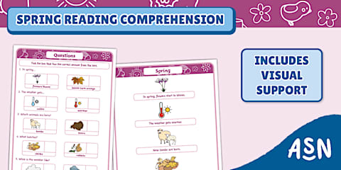 Let's Find Out About Spring Differentiated Reading Comprehension