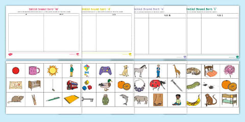 SATPIN Sorting Cards