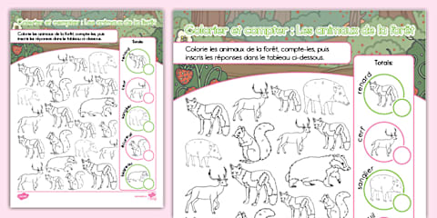Grade 1- Editable Number Sense Teacher Observation Sheet and Rubric French