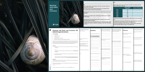 Would you Rather? Fractions of Money Activity