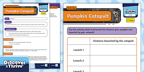 Catapults for Kids Design