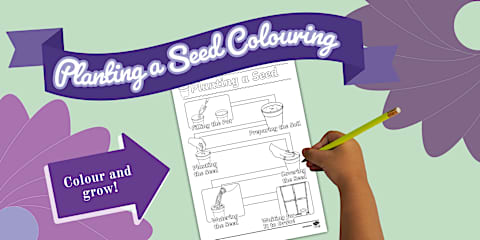 Cut and Stick: Planting a Seed Sequencing Worksheet